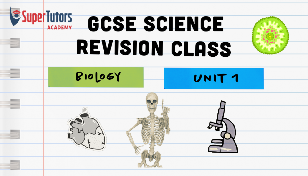 GCSE CCEA UNIT 1 BIOLOGY : Double Award & Triple/Separate Sciences ...
